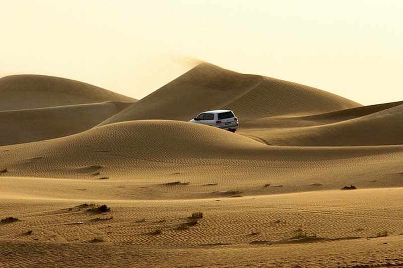 Dinner in the desert - Desert safari Experience without Dune Bashing ...