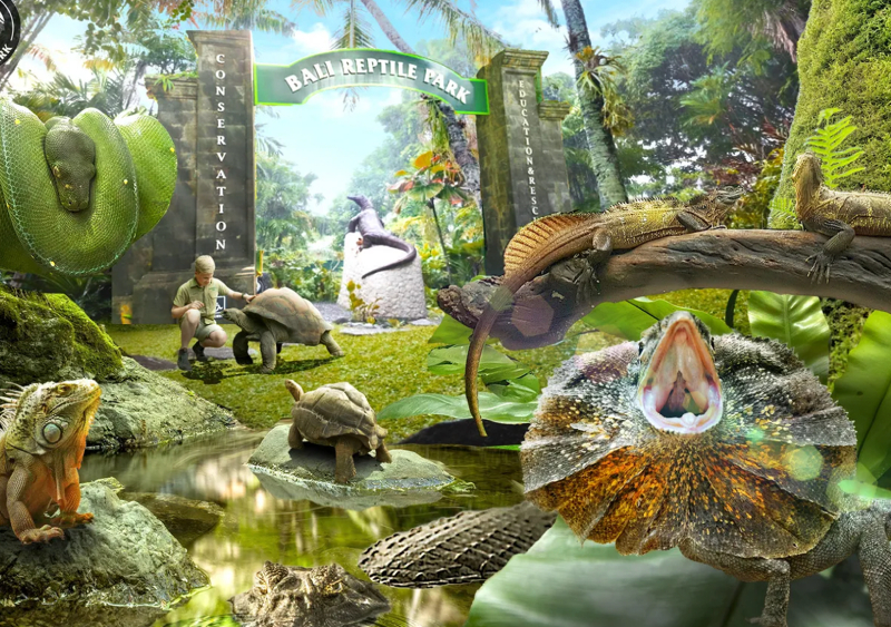 Bali Reptile Park Ubud’s Top Reptile Sanctuary - JTR Holidays