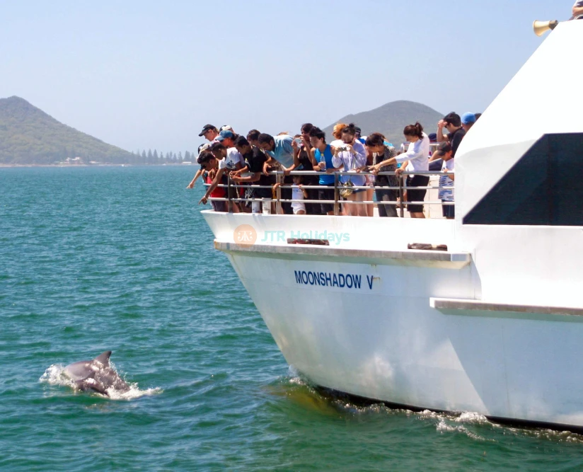 Dolphin Watching in Port Stephens - JTR Holidays
