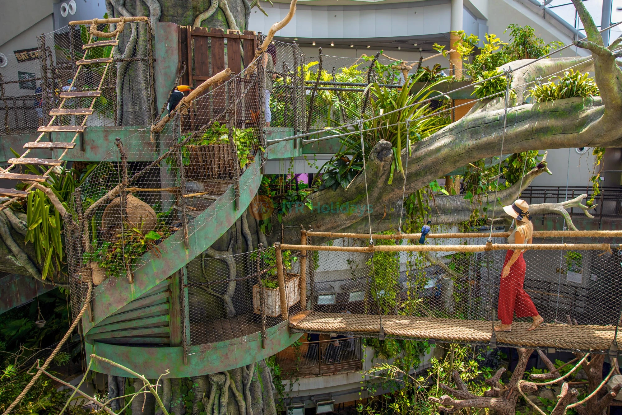 The Green Planet Dubai Tickets | Indoor Rainforest Dubai - JTR Holidays