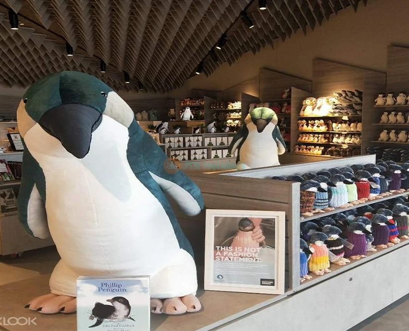Penguin Parade Tickets Watch Little Penguins at Phillip Island