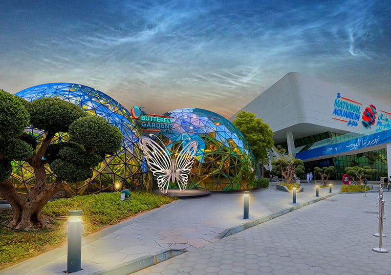 Billets pour les Jardins aux Papillons d'Abou Dabi + Combo Aquarium ...