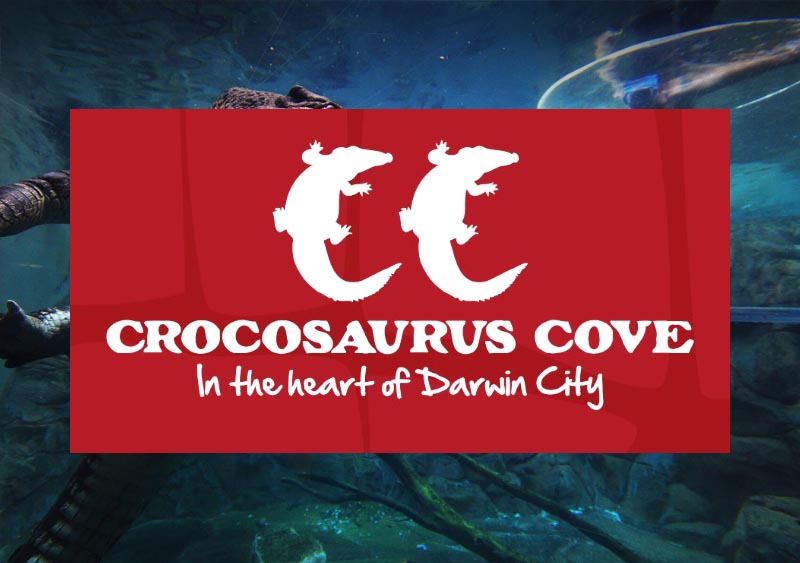 Crocosaurus Cove Darwin Ticket - Ultimate Wildlife Experience - JTR ...
