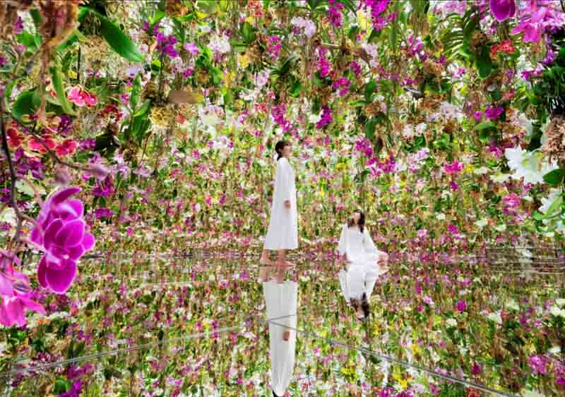 teamLab SuperNature Macao | Immersive Art Experience in Macao - JTR ...