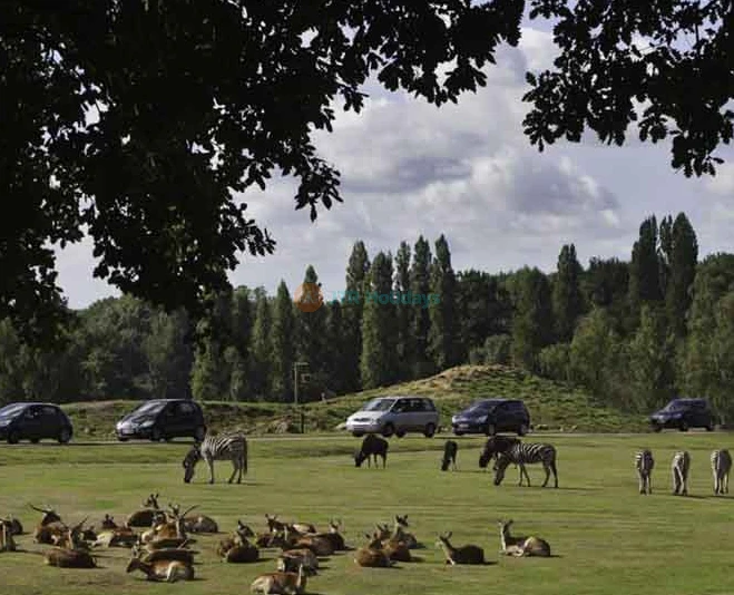 Thoiry ZooSafari | Safari Adventure & Wildlife Park Near Paris - JTR ...