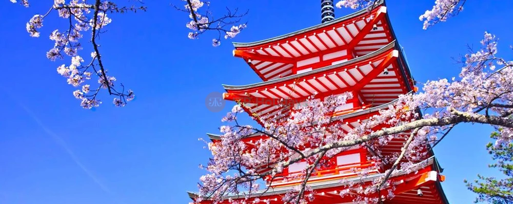 Mount Fuji Magnificent Day Tour from Tokyo | Scenic Full-Day Trip - JTR ...